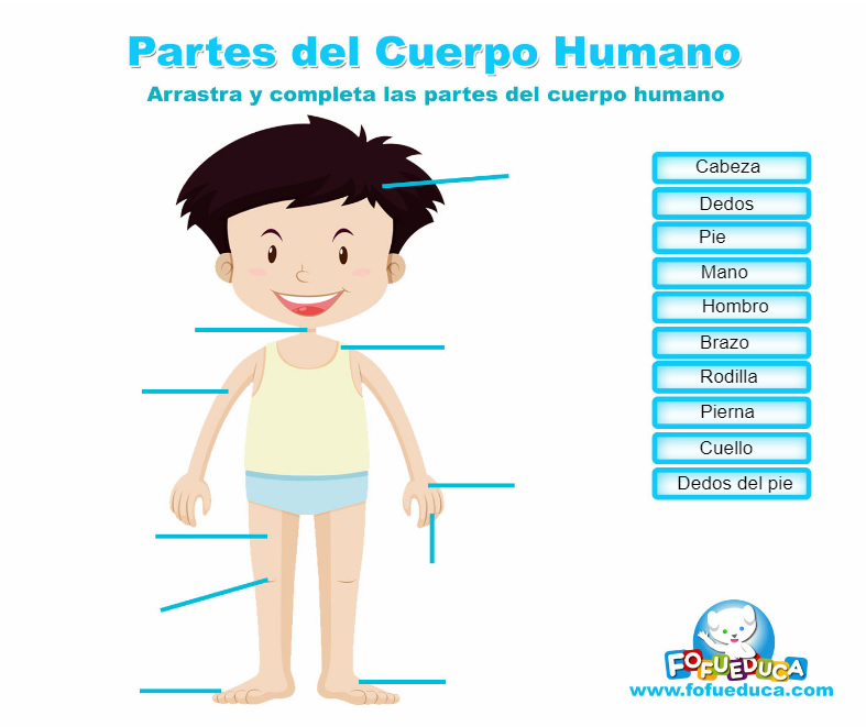 Descripción del juego EL CUERPO HUMANO
