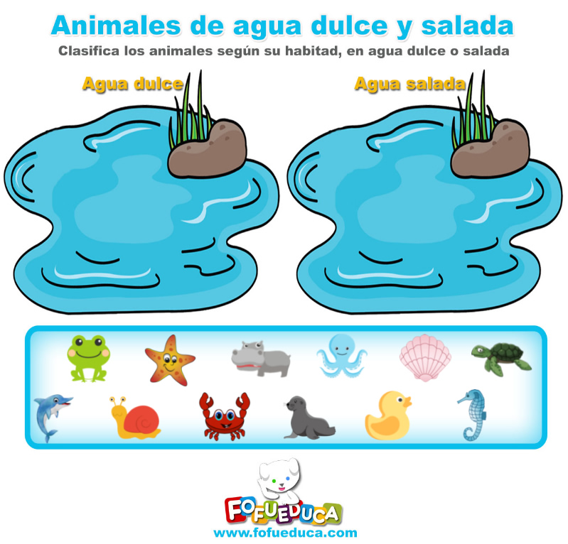 Descripción del juego ANIMALES DE AGUA DULCE Y SALADA