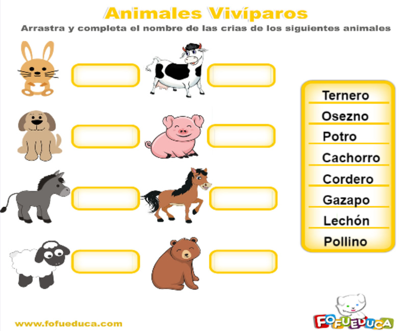 Descripción del juego Animales Vivíparos
